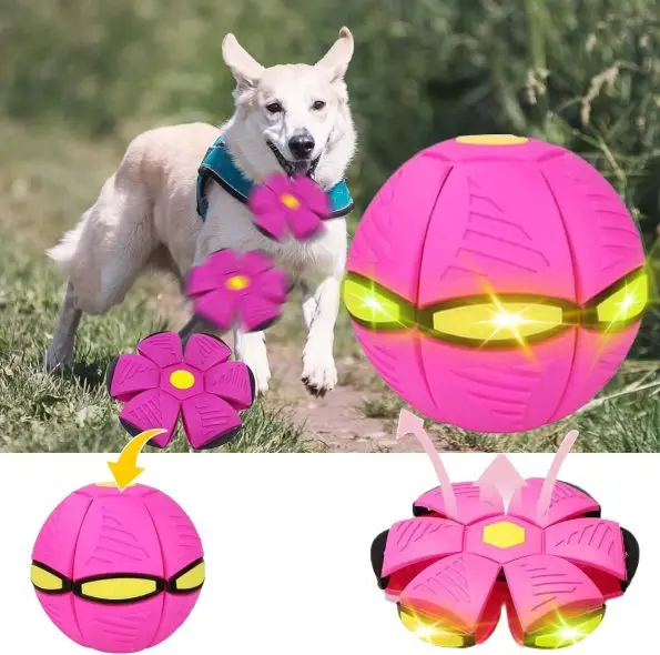 The Doggy Disc Ball Reviews